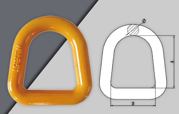 Vòng Khuyến Chữ D - G80 - Thương Hiệu Mỹ DSL - Nhập Khẩu